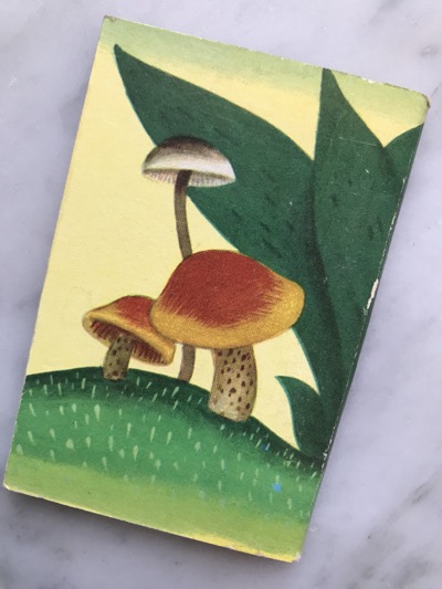 Bootle Beetle - Vintage Disney Mini Book | Earth Angels Studios